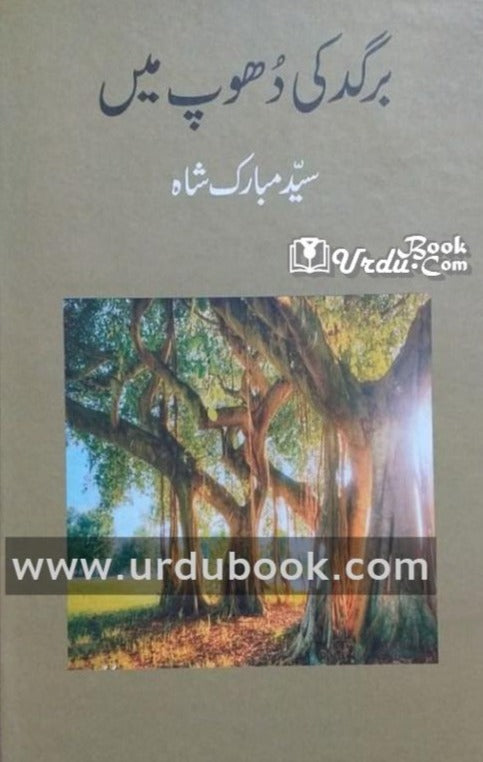 Bargad ki Dhoop Mein - برگد کی دھوپ میں – URDU BOOK