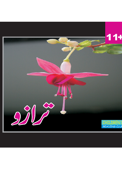 Tarazo - ترازو – URDU BOOK